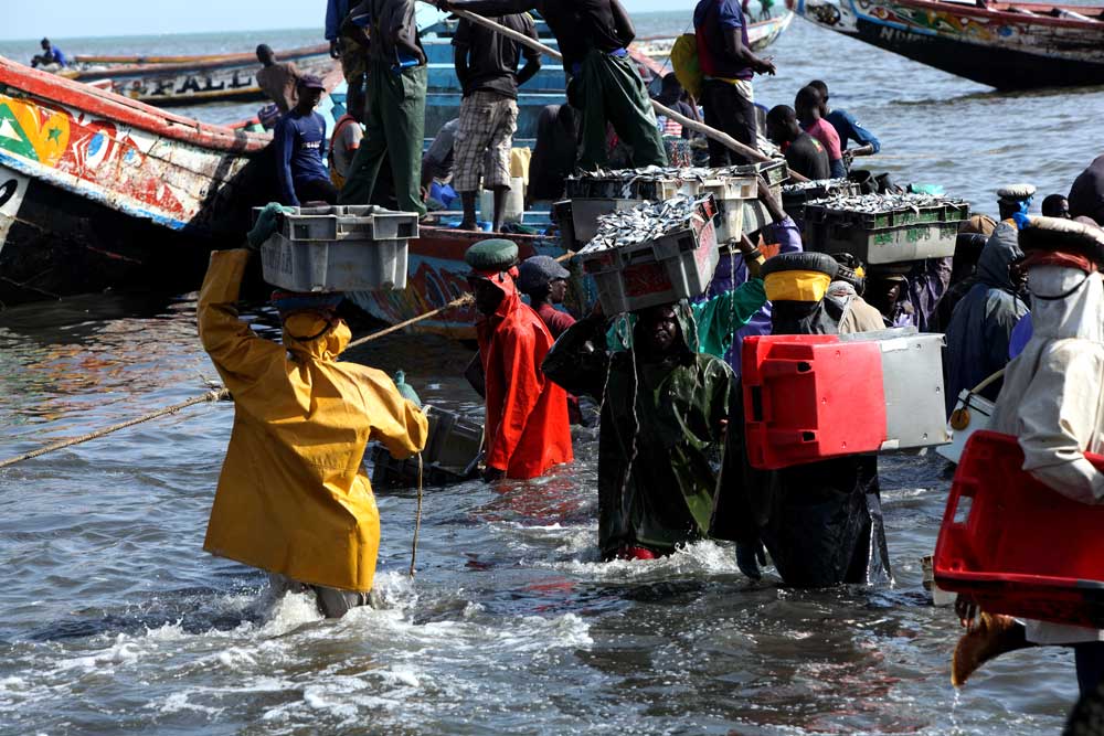 About Us | Feed the Future Innovation Lab for Fish